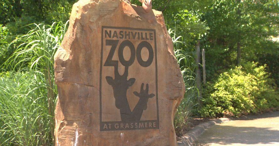 Nashville Zoo fights proposed data center next door, citing risks to ...