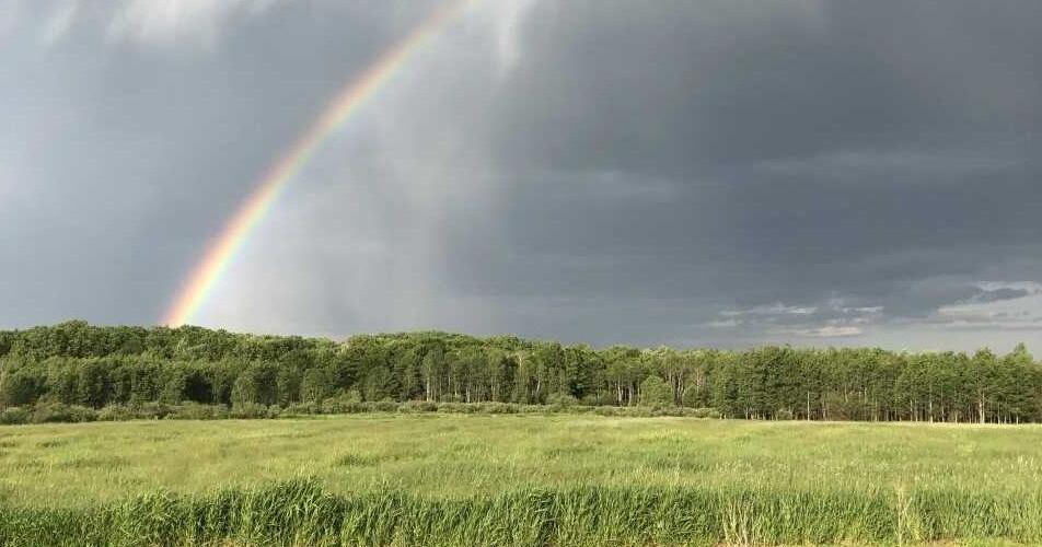 Cool and rainy Friday weather | Forecast Central | waow.com