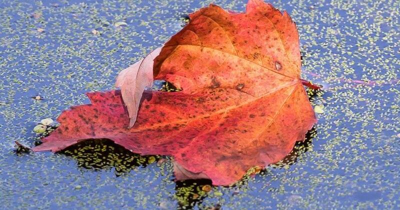 Messy and wintry weather ahead | Forecast Central | waow.com