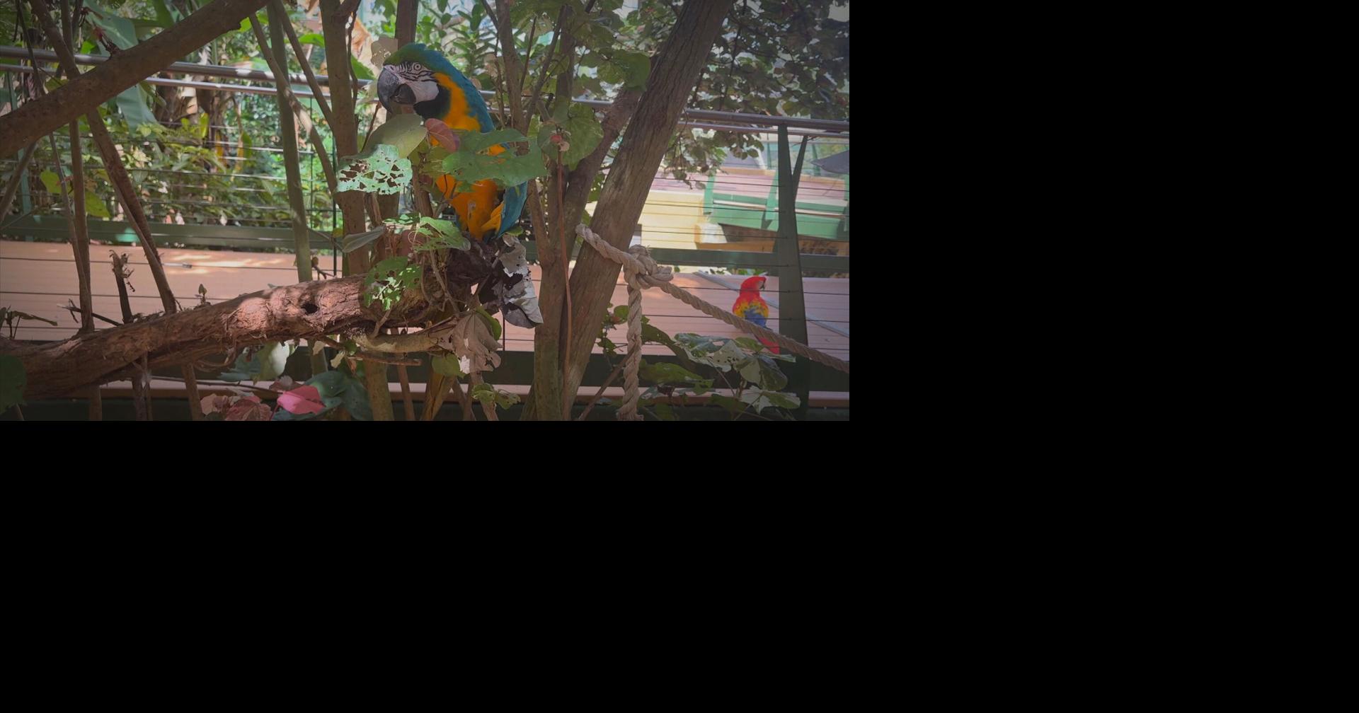 Bosque forestal "La Marquesa" reabrirá sus puertas al público ...