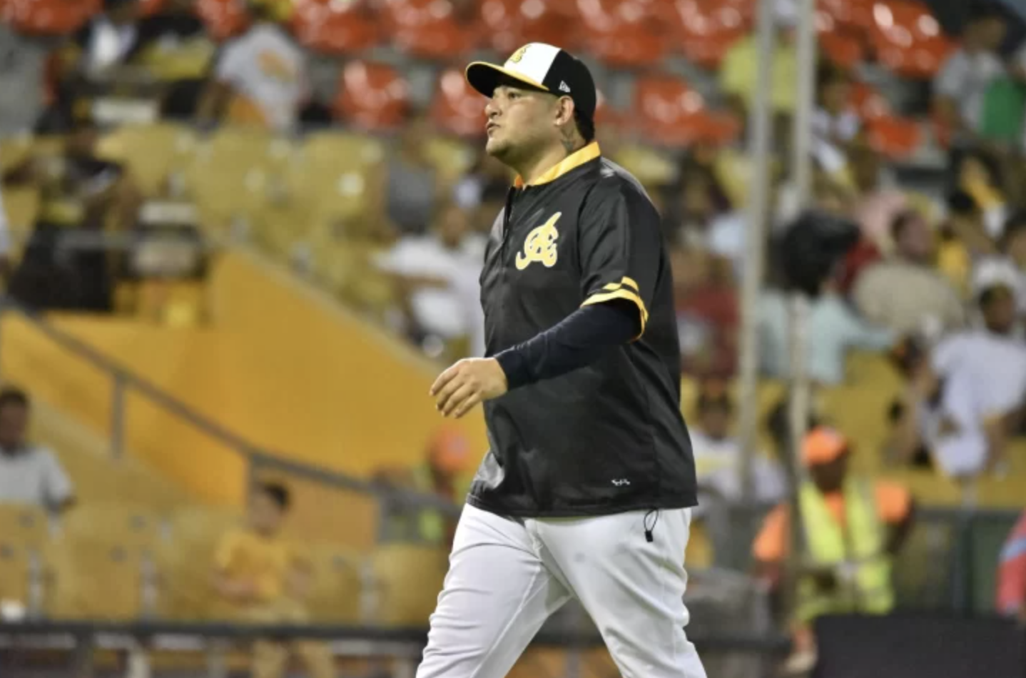 WAPA Deportes transmite el béisbol dominicano rumbo a la Serie del ...