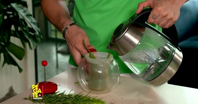 Aprende a preparar una infusión de limoncillo | Pégate al Mediodía ...