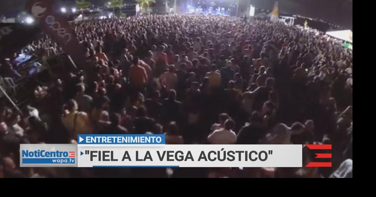 Fiel a La Vega celebra 20 años de trayectoria | Entretenimiento | wapa.tv
