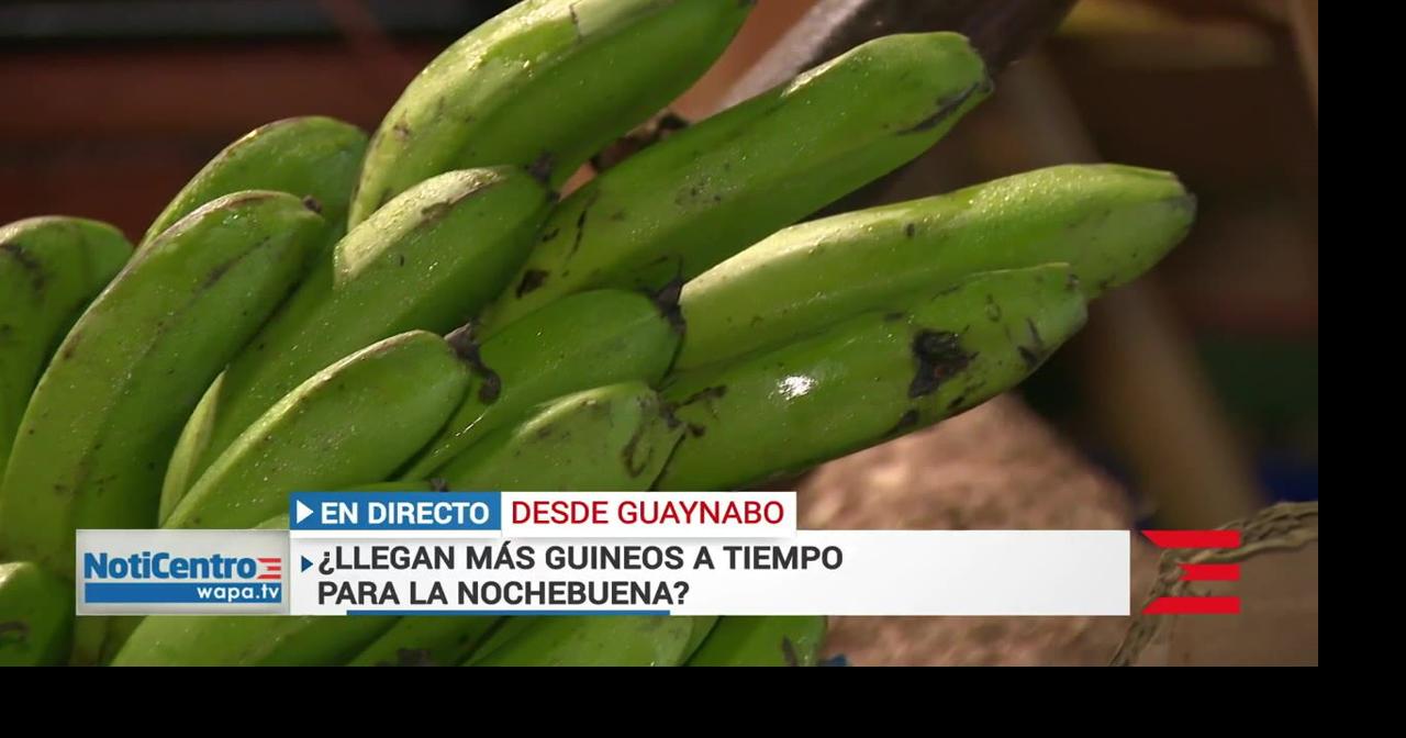 Sigue la espera por descargue de guineos | Locales | wapa.tv
