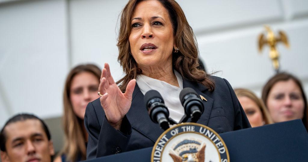 Kamala Harris lanza su campaña presidencial con un anuncio contra ...