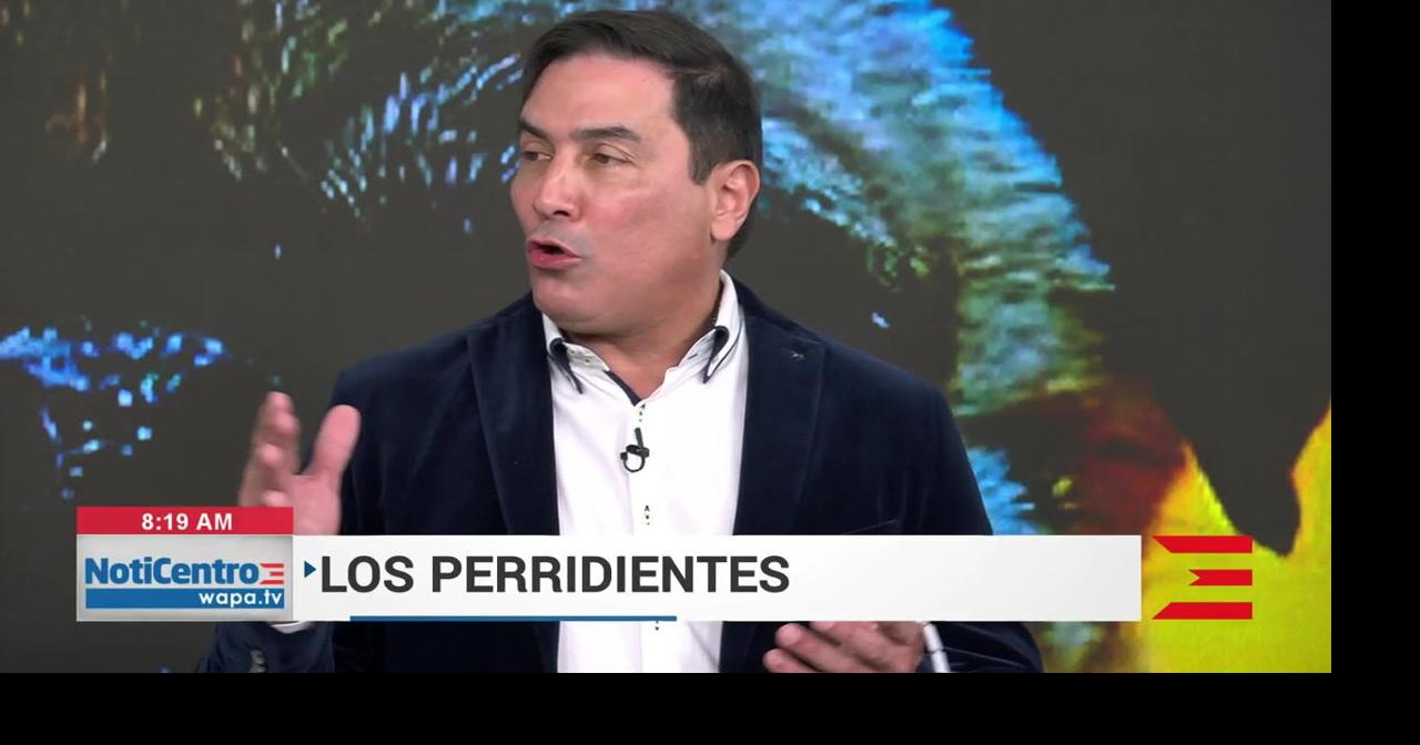 ¿Quieres "perridientes"? Ten en mente estos detalles para verte bien ...