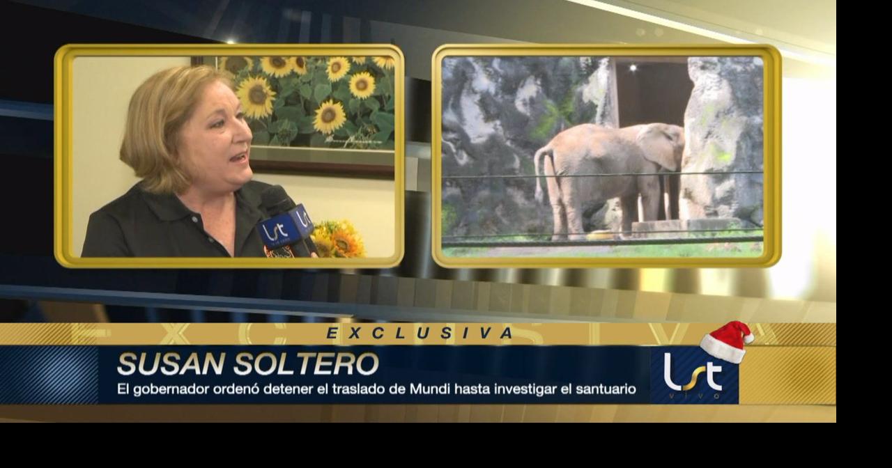 Susan Soltero reacciona a paralización del traslado de la elefanta ...