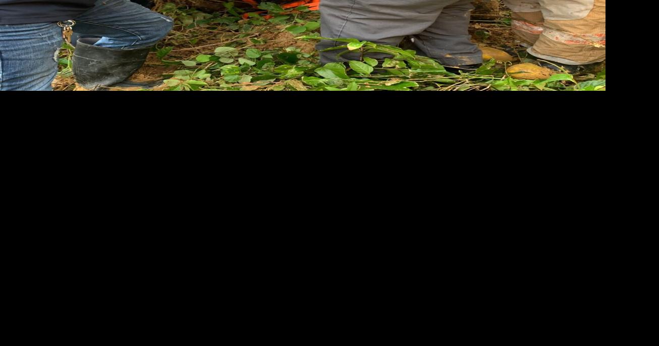 Rescatan a hombre atascado en lodo en Aibonito | Locales | wapa.tv