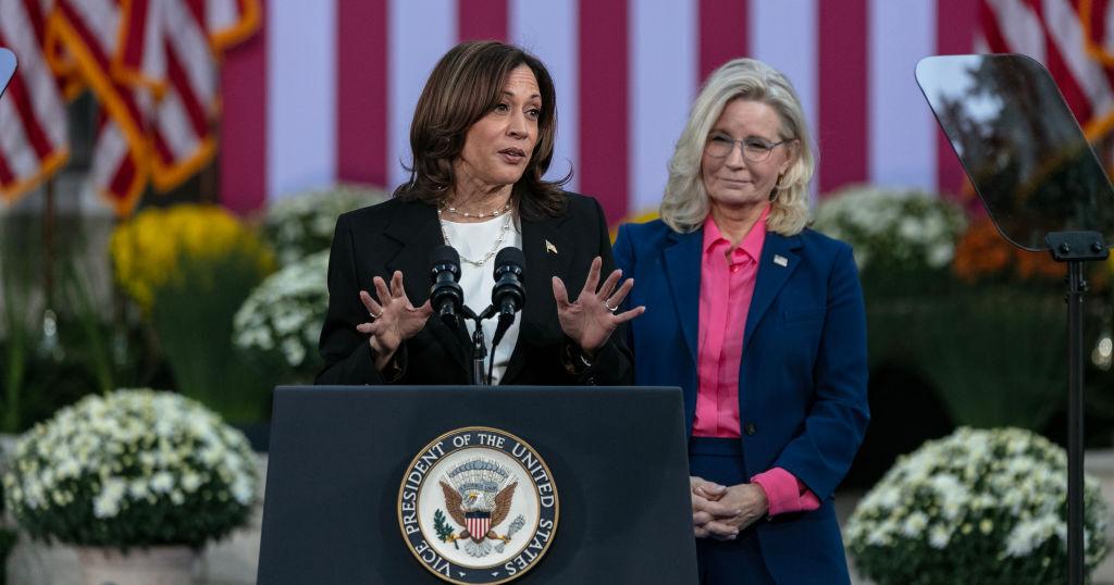 Kamala Harris intenta pescar votos republicanos en mitín en Wisconsin ...