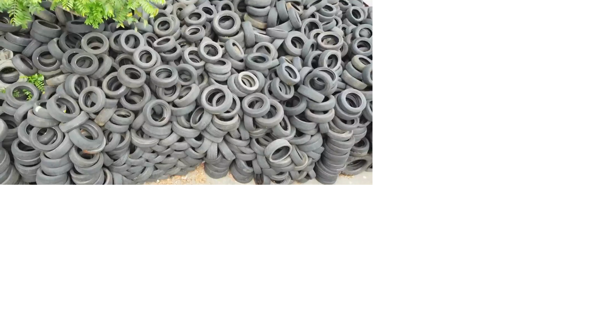 Empresa puertorriqueña crea productos de jardinería con gomas ...