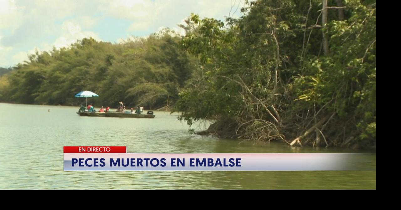 Realizan muestreo de agua en embalse de Cidra | Locales | wapa.tv