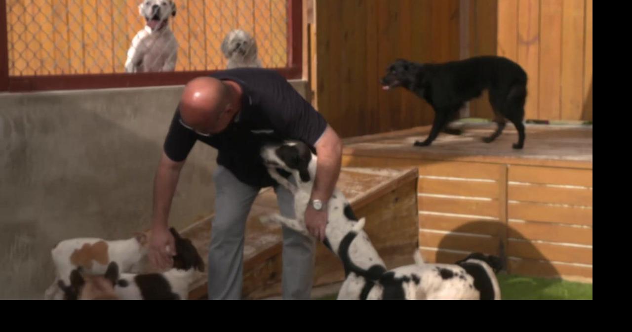 Centro de Varona | Viva La Tarde | wapa.tv