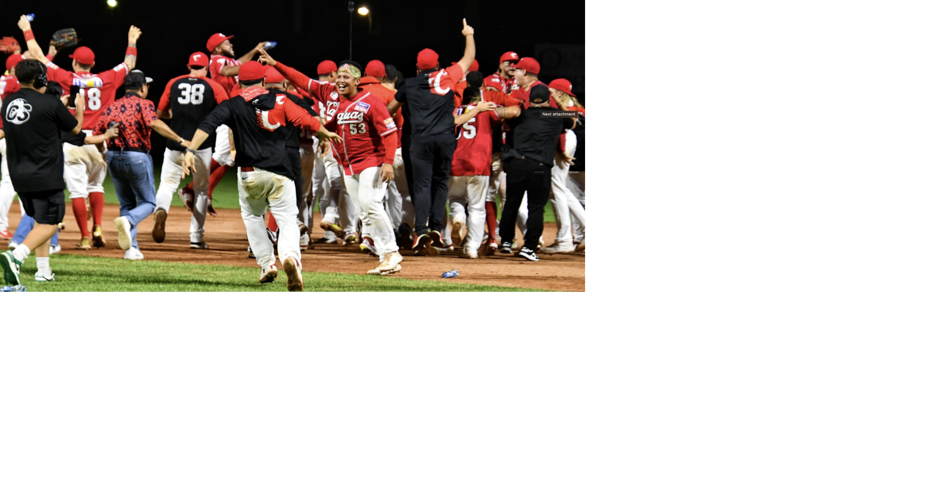 LBPRC anuncia el roster de peloteros que irán a la Serie del Caribe ...