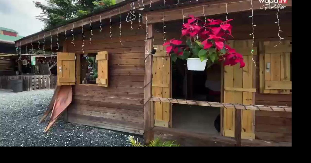 Un viaje al pasado en la Casita Jíbara de Comerío | Entretenimiento ...