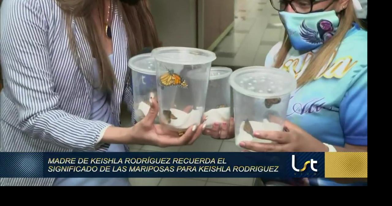 Homenaje para Keishla Rodríguez | Lo Sé Todo | wapa.tv