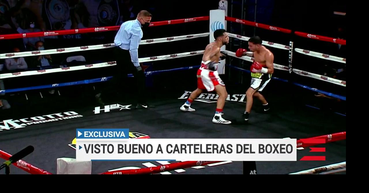 Regresa el boxeo a Puerto Rico con tres carteleras | Deportes | wapa.tv