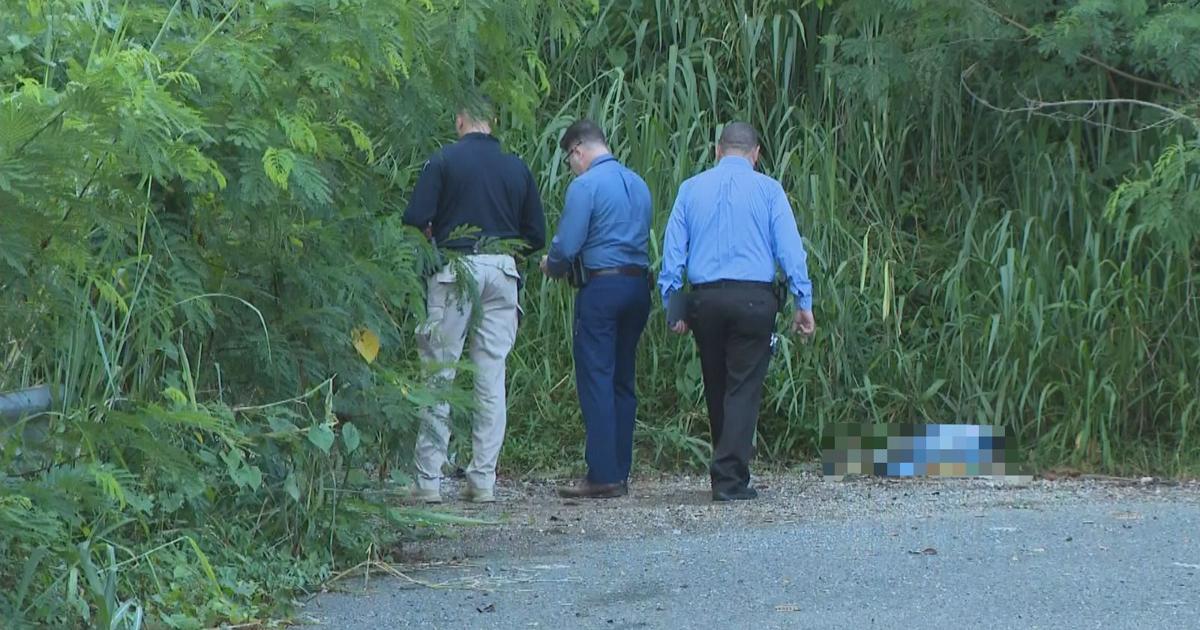 Investigan Tercera Masacre Del 2023 Hallan Cuerpos De Tres Hombres En