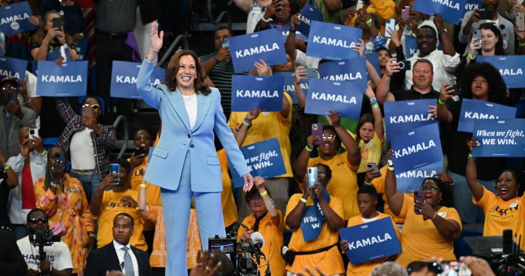 Delegados del Partido Demócrata votan "online" para elegir a Kamala ...