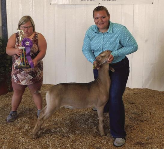 Scenes from the sale of champions | Photos | wapakdailynews.com