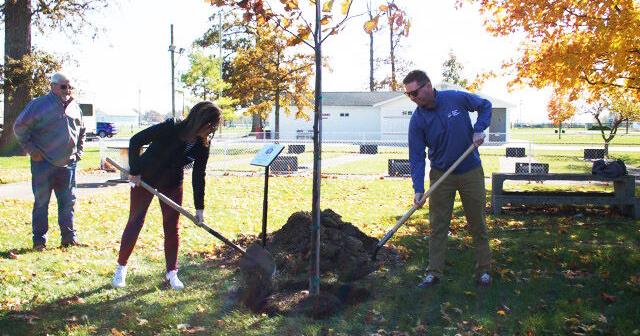 Tree Planted At Auglaize County Fairgrounds As Part Of America’s ...