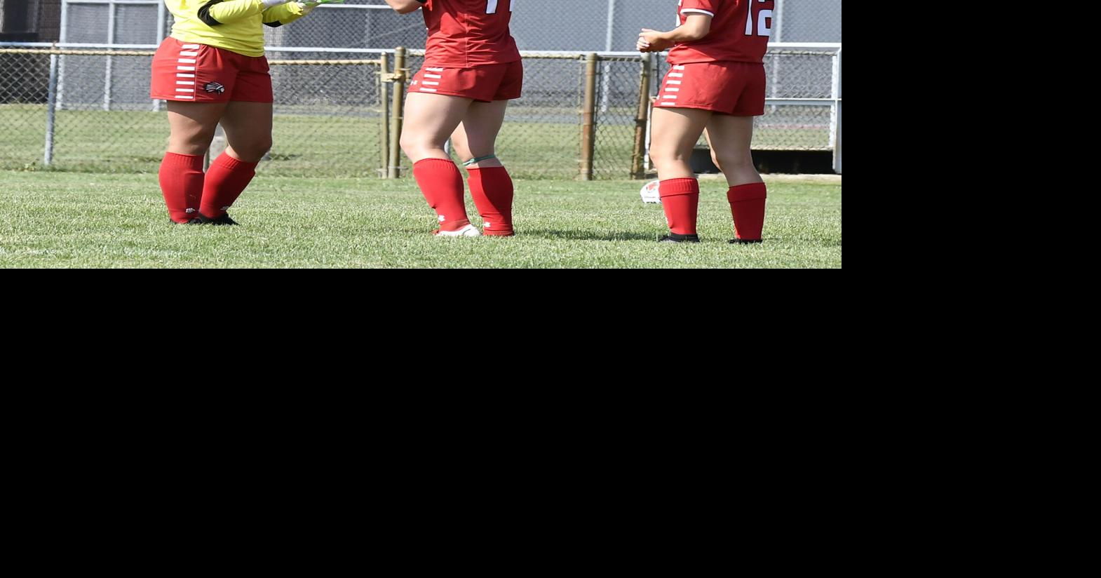 GIRLS SOCCER: Lehman Catholic at Wapakoneta | Sports | wapakdailynews.com