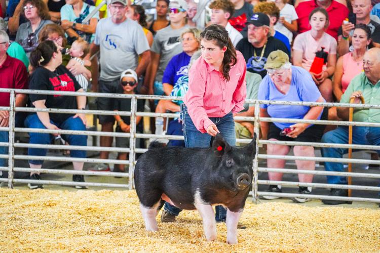2024 Auglaize County Fair | Photo Galleries | wapakdailynews.com