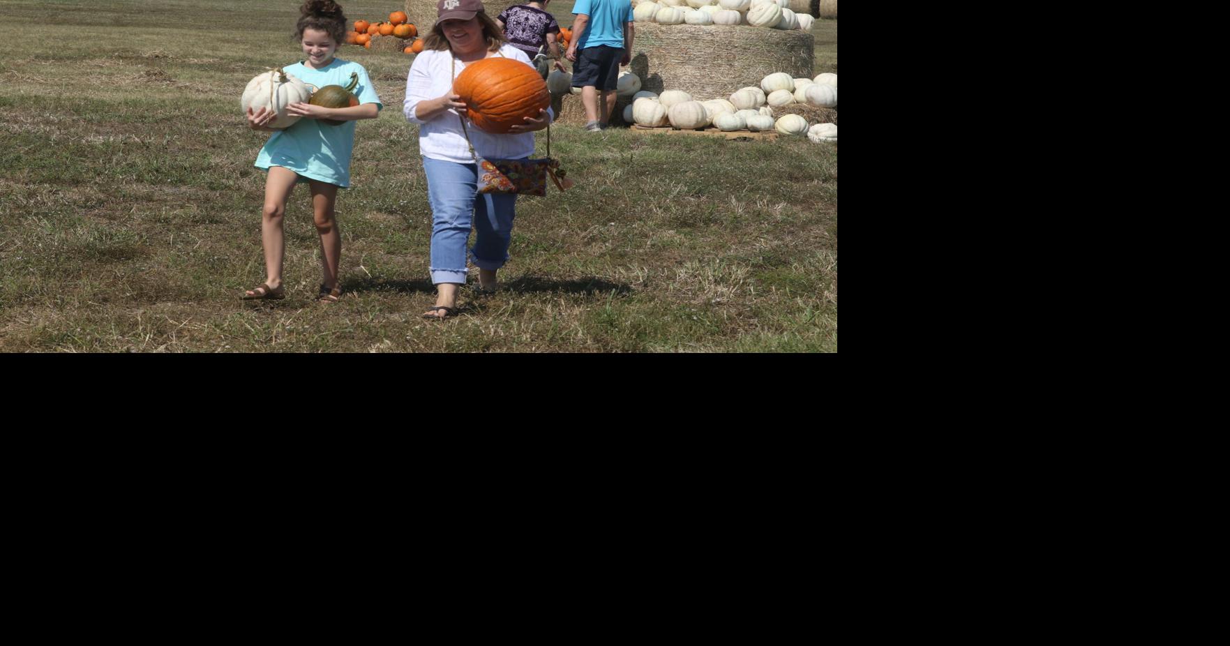 The Pumpkin Hach is open! | Arts & Entertainment | waxahachiesun.com