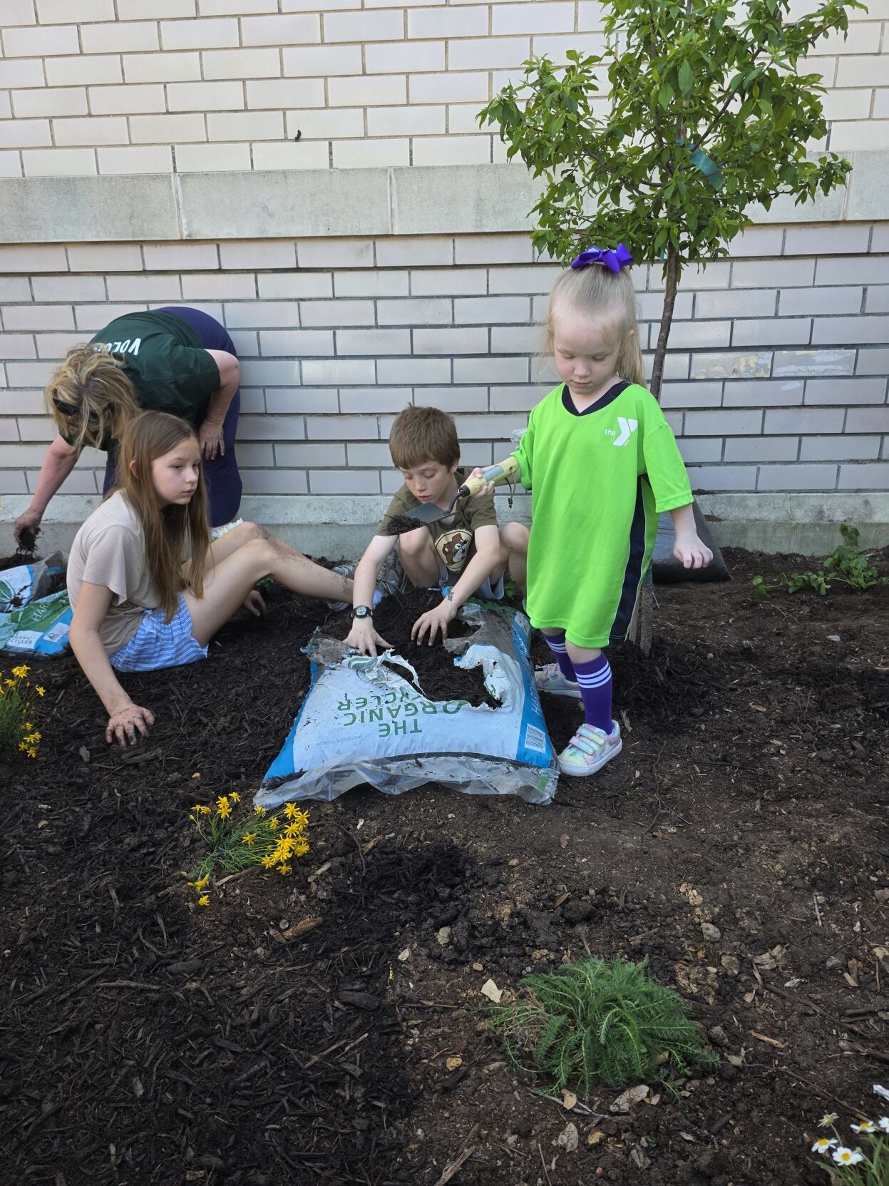 Waxahachie community plants the future at Nicholas P. Sims Library ...