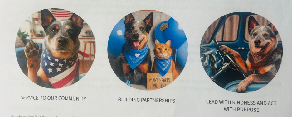 News | waxahachiesun.com