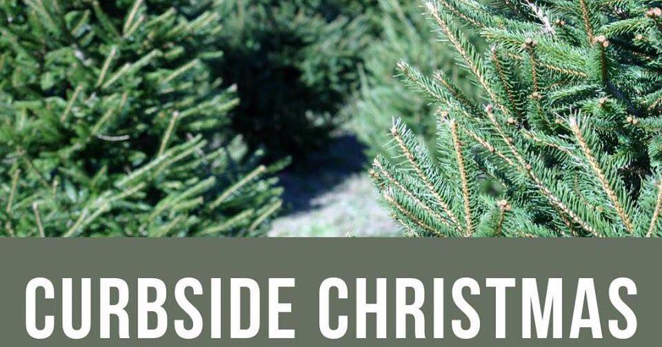 Curbside pickup set for natural Christmas trees | Local News ...