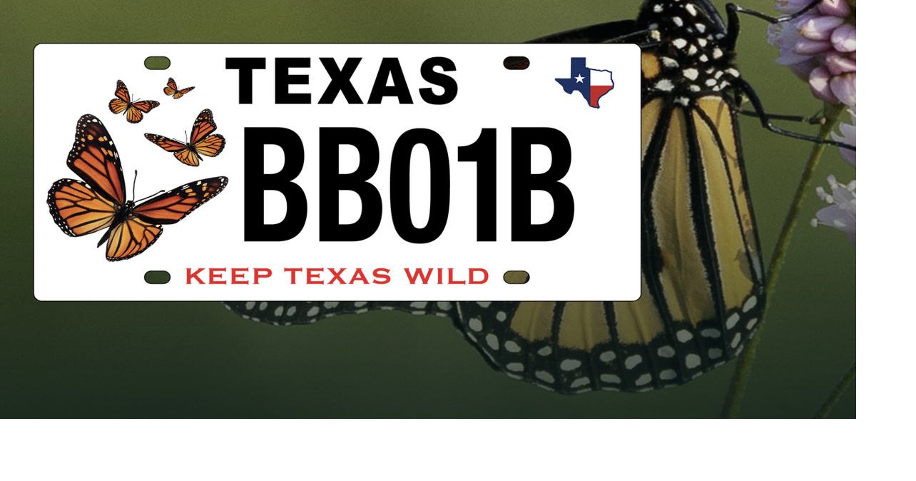 New monarch butterfly conservation license plate available for Texas ...