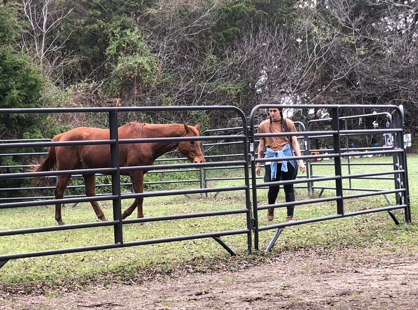 Paws for Reflection: Ready to reopen, ready to serve | Local News ...