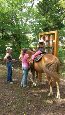 Paws for Reflection: Ready to reopen, ready to serve | Local News ...