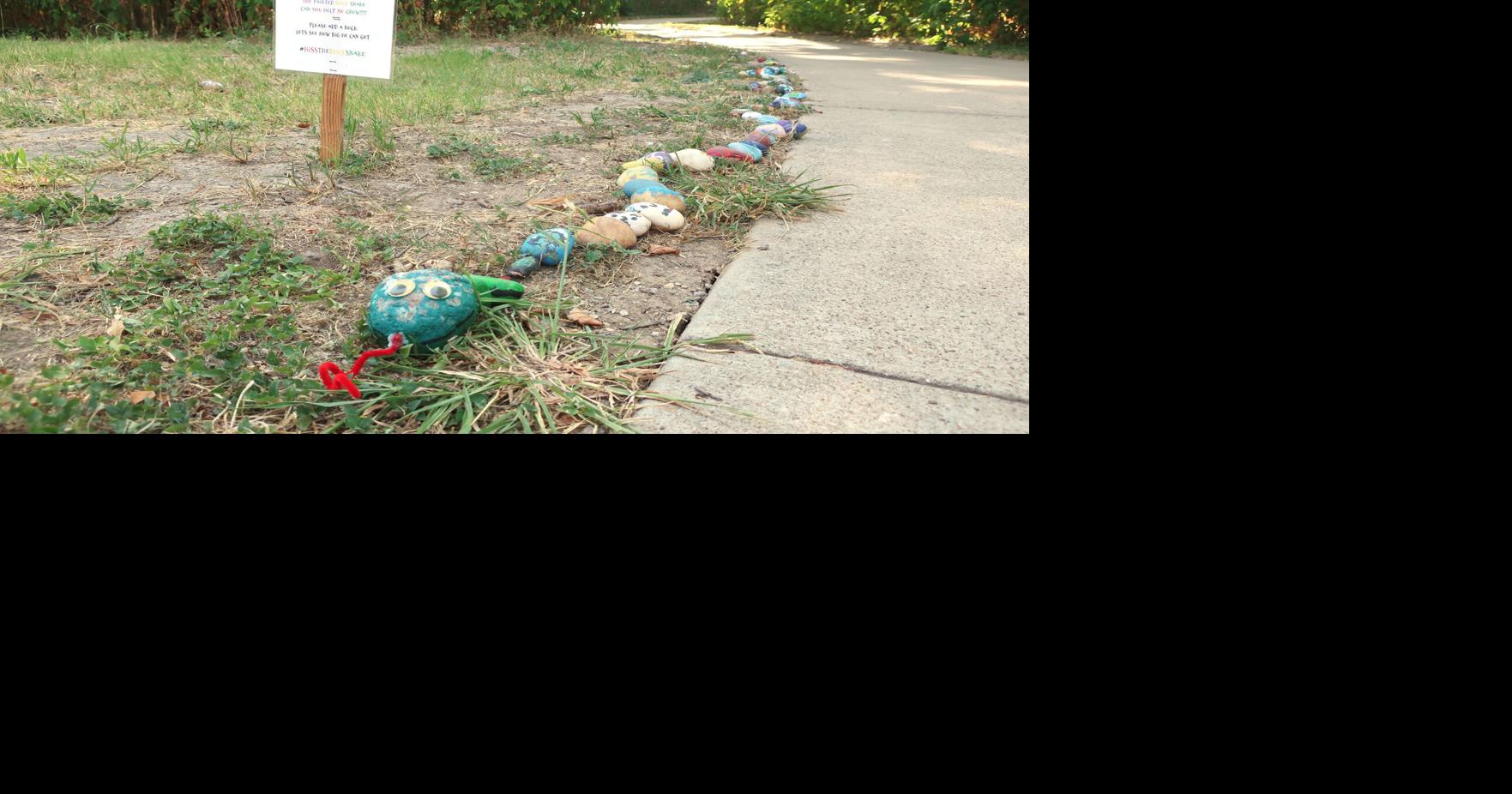 ‘Hiss’ the painted rock snake | Arts & Entertainment | waxahachiesun.com