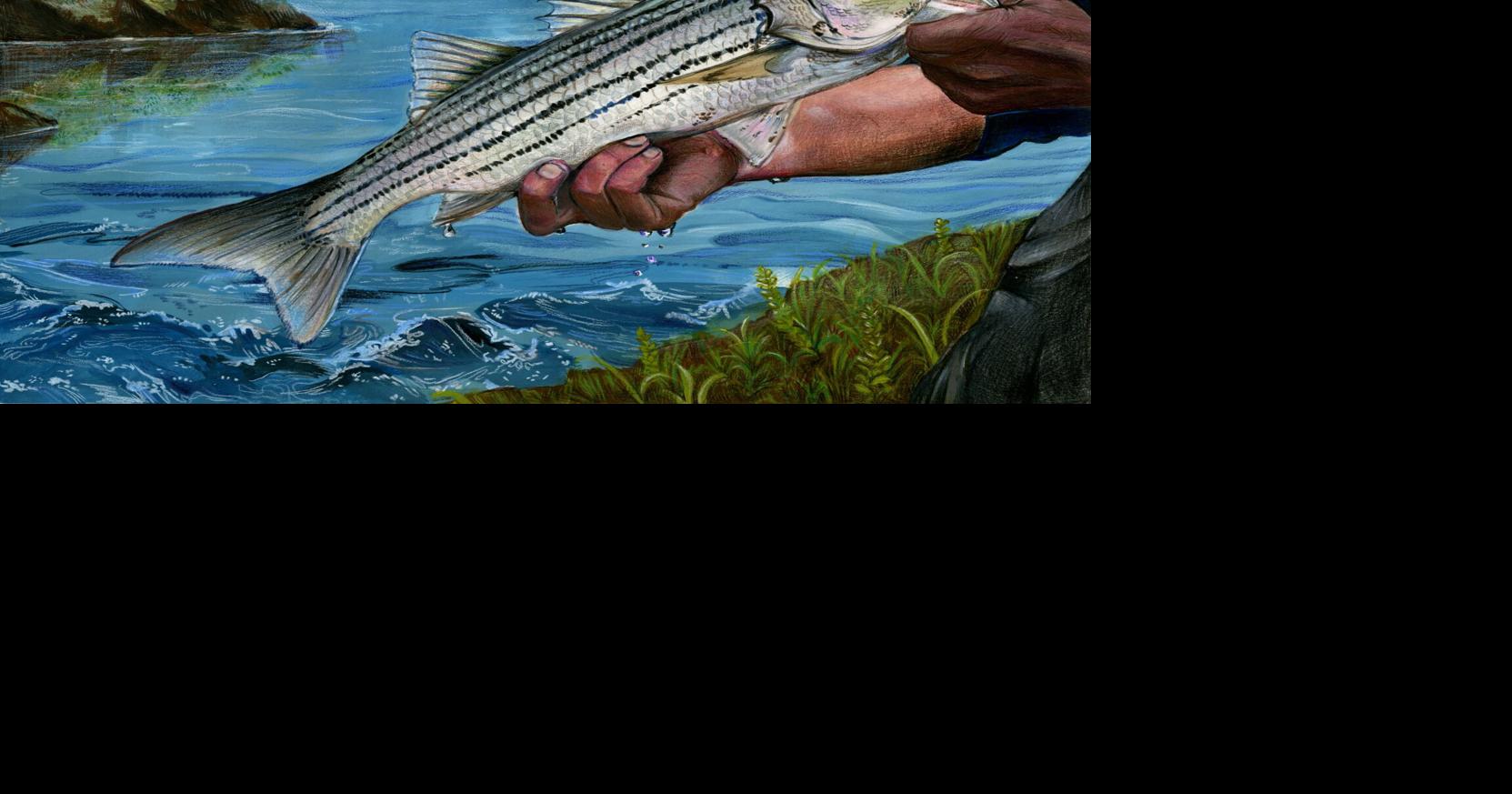 2024 Texas Fish Art Contest now accepting entries | Sports ...