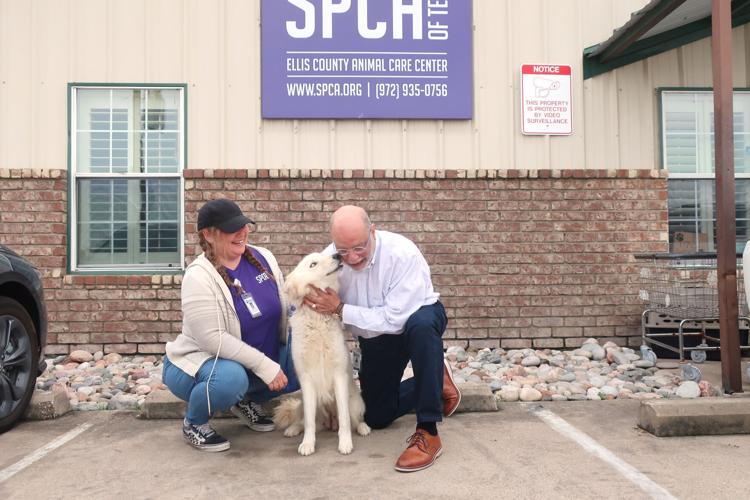New president discusses SPCA of Texas’ Ellis County facility | Business ...