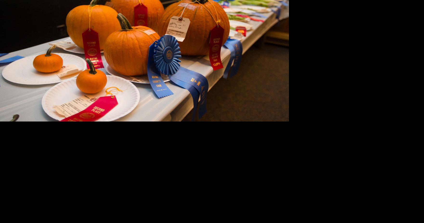 Carol Russell and Trish Ross: Fair organizers announce contest winners ...