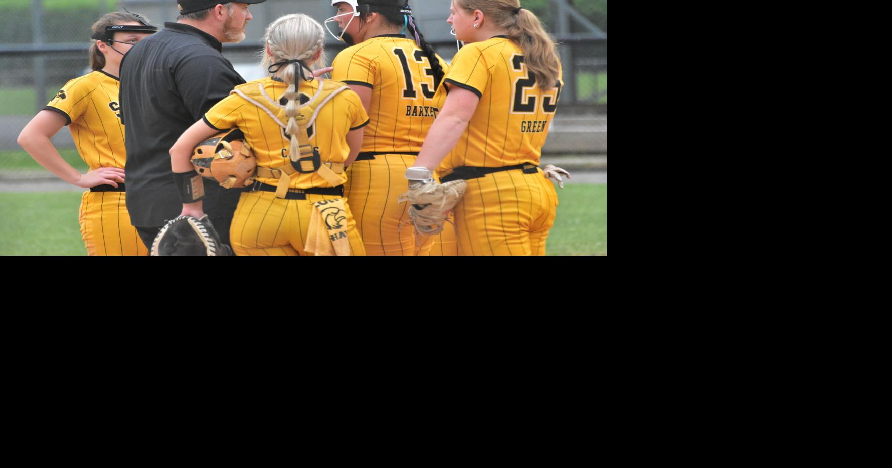 Logan ends Lady Hawks' season 6-2 in sectionals | Sports ...