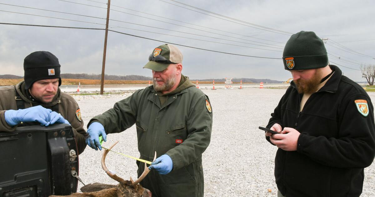 Buck season begins in WV | News | waynecountynews.com