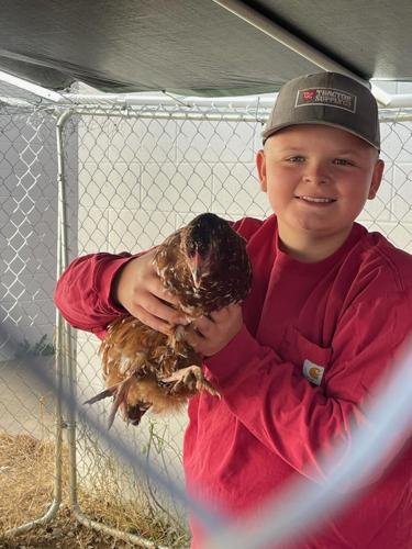 WMS Chicken Tender Club receives grant, supplies | News ...