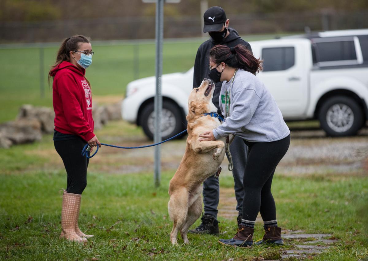 Photos: Huntington Cabell Wayne Animal Shelter’s Thankful Furry Feast ...