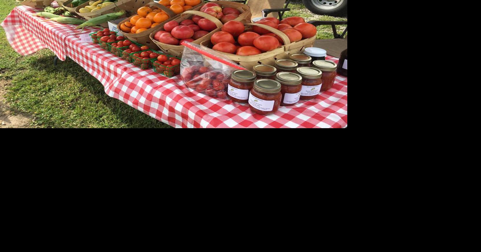 Nikki Dotson Merritt: Agriculture crucial for the future of Wayne ...