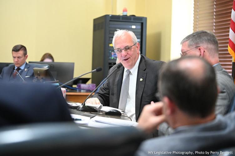 West Virginia's 2010's red wave rides into first redistricting process ...