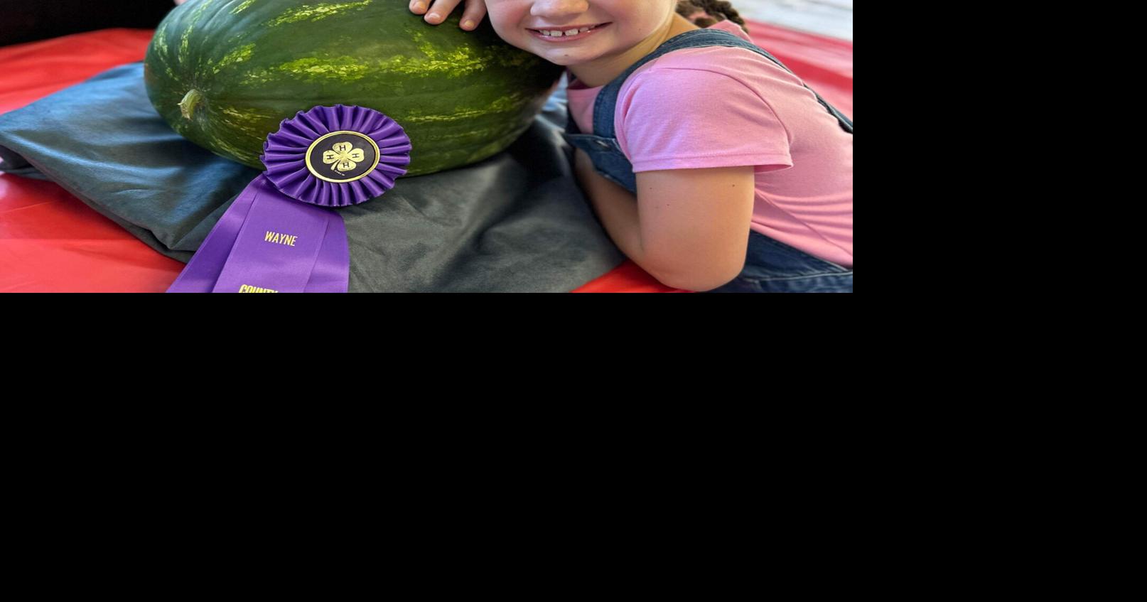 Wayne County 7-year-old wins first in watermelon growing competition ...