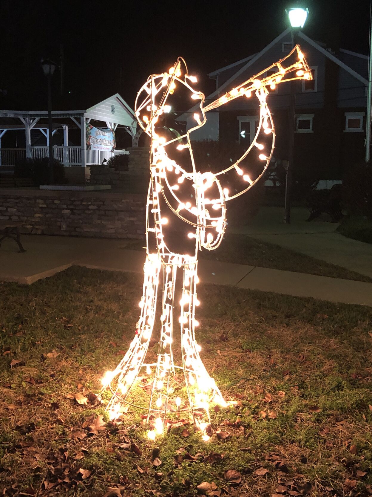 img_6641.jpg | | waynecountynews.com