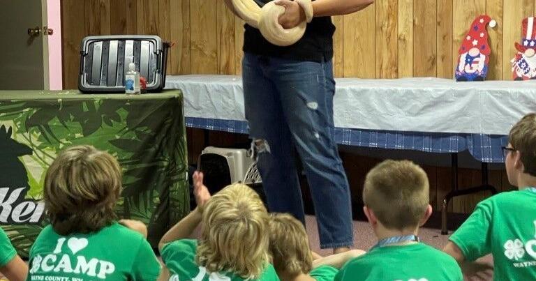 Wayne County 4-H hosts Cloverbud Day Camp | News | waynecountynews.com