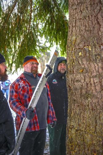 Christmas tree from peaceful WV forest begins journey to US Capitol ...