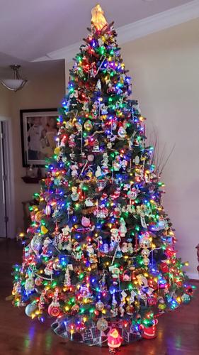 Delmarva's Holiday House 2022: Dec. 11-17 | Holiday House | wboc.com