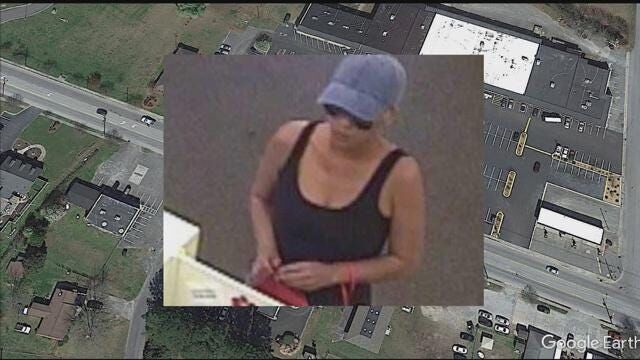 Updated 2 Suspects Arrested In Pink Lady Bandit Robberies Sussex