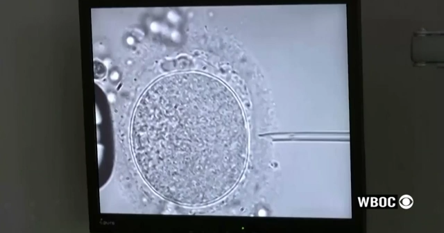 Alabama Supreme Court: Embryos Have The Same Rights As Children ...